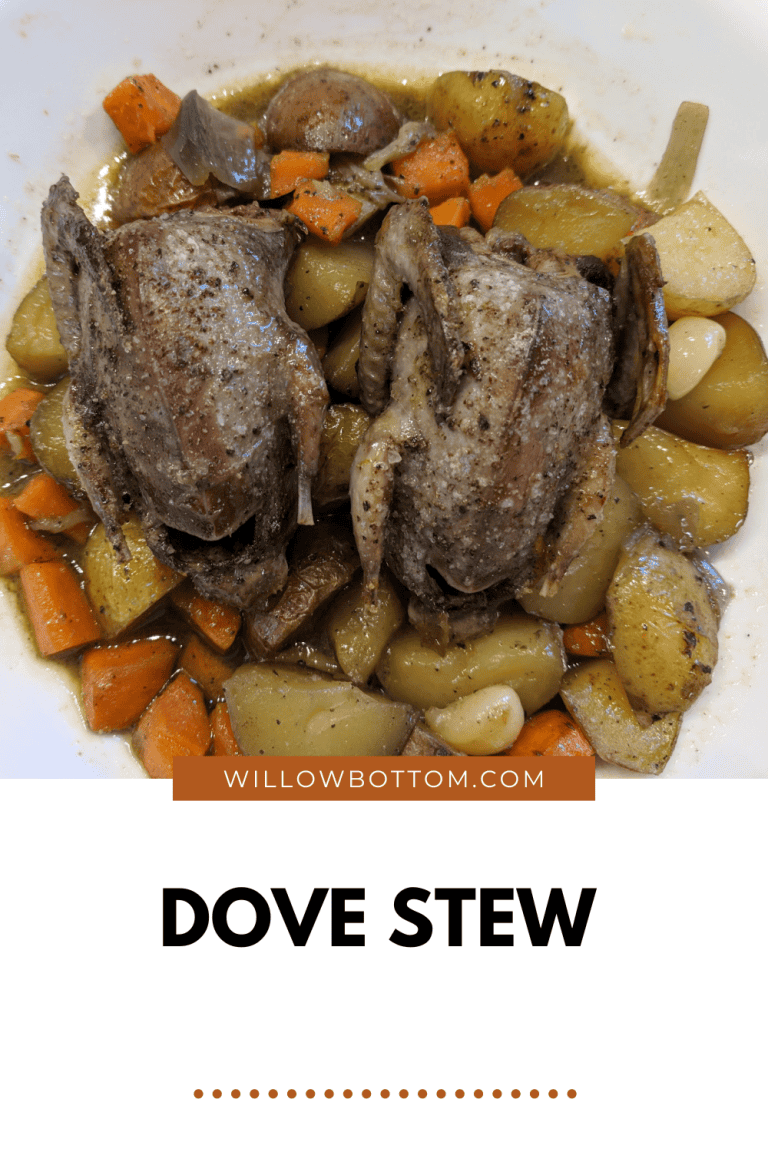 Dove Stew • Willowbottom Homestead