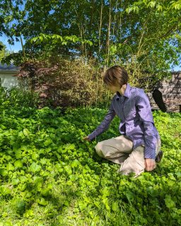 Dove Stew • Willowbottom Homestead
