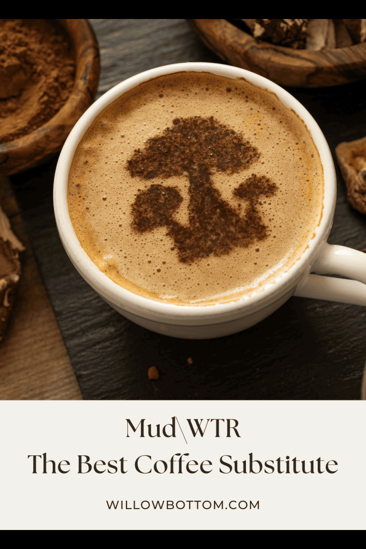 MudWTR - The Best Coffee Substitute • Willowbottom Homestead