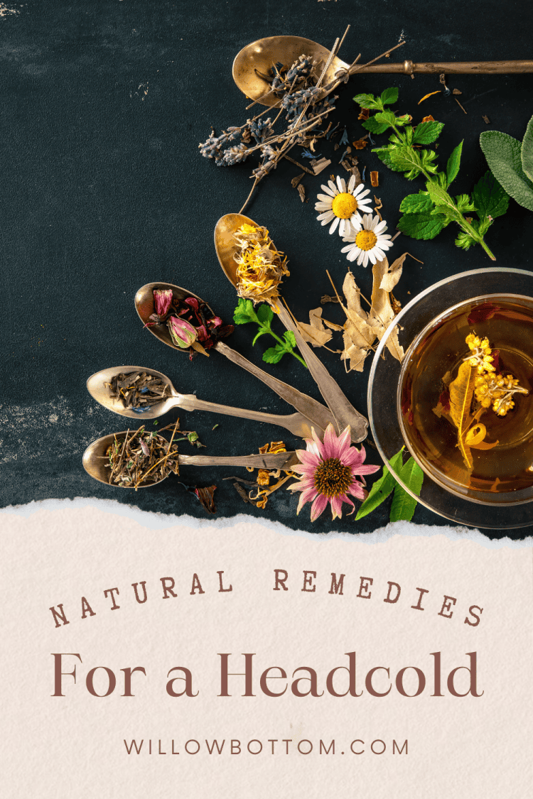 Natural Remedies for a head cold • Willowbottom Homestead