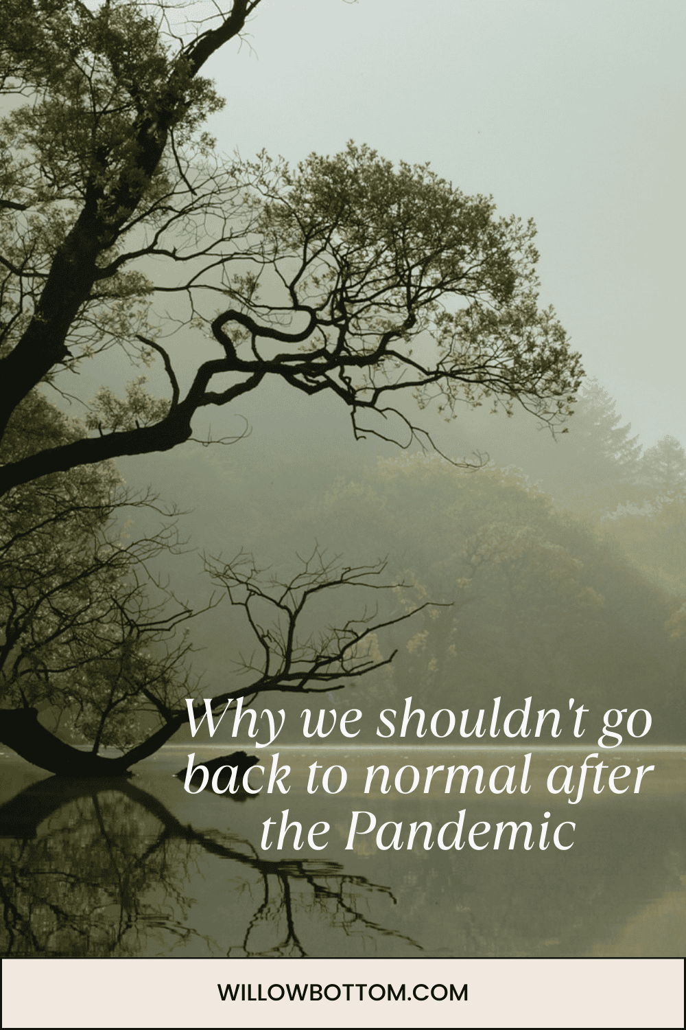 Why we shouldn't go back to normal after the Pandemic • Willowbottom ...