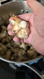 Dove Stew • Willowbottom Homestead