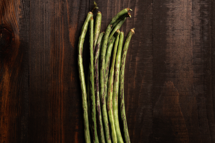 A Guide to Growing Beans • Willowbottom Homestead