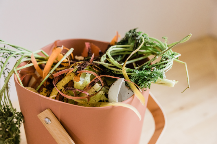 6 Simple ways to reduce food waste • Willowbottom Homestead